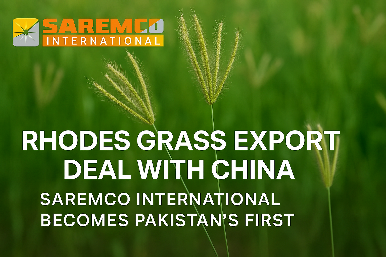 Rhodes Grass Export Deal with China | Saremco International Becomes ...