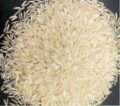 Basmati Rice Price in Pakistan - FOB Karachi - Saremco International